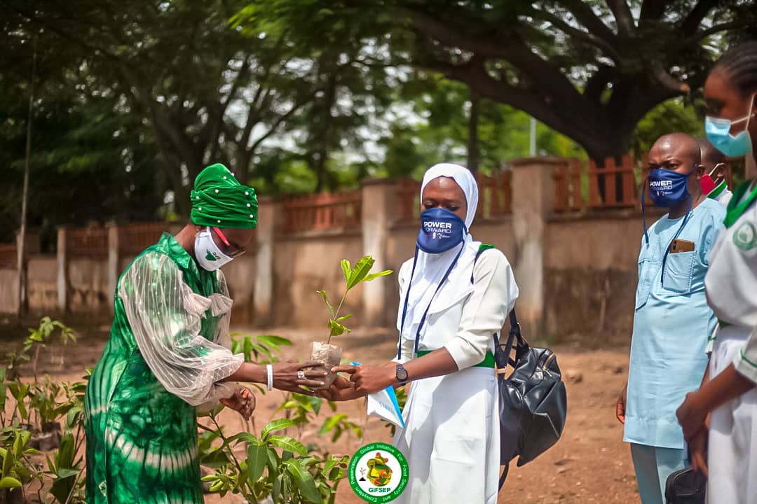 Trees For school Initiative - GIFSEP